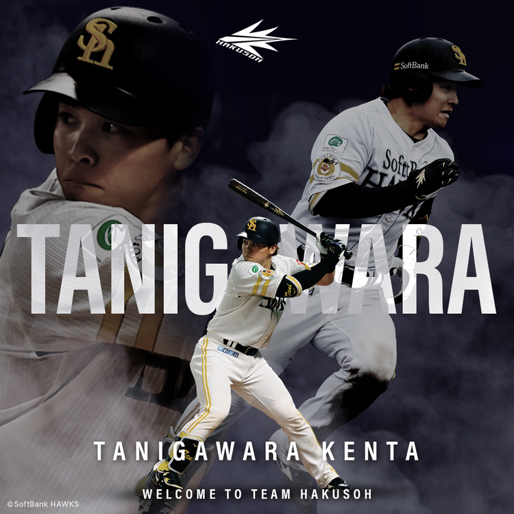 blog – HAKUSOH BAT JAPAN